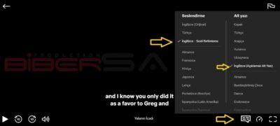 What is Audio Description? Netflix Audio Description Guide