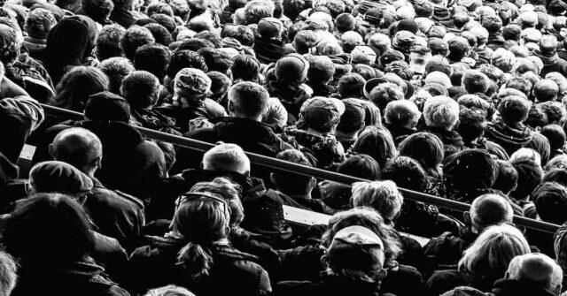 What Does Rabarba Mean? What is Rabarba Word Origin?